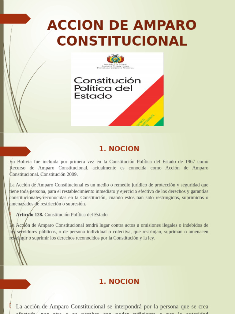 Presentacion Accion de Amparo Constitucional | PDF