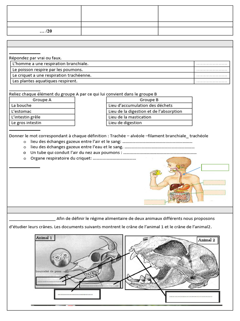 contrôle 2 APIC | PDF