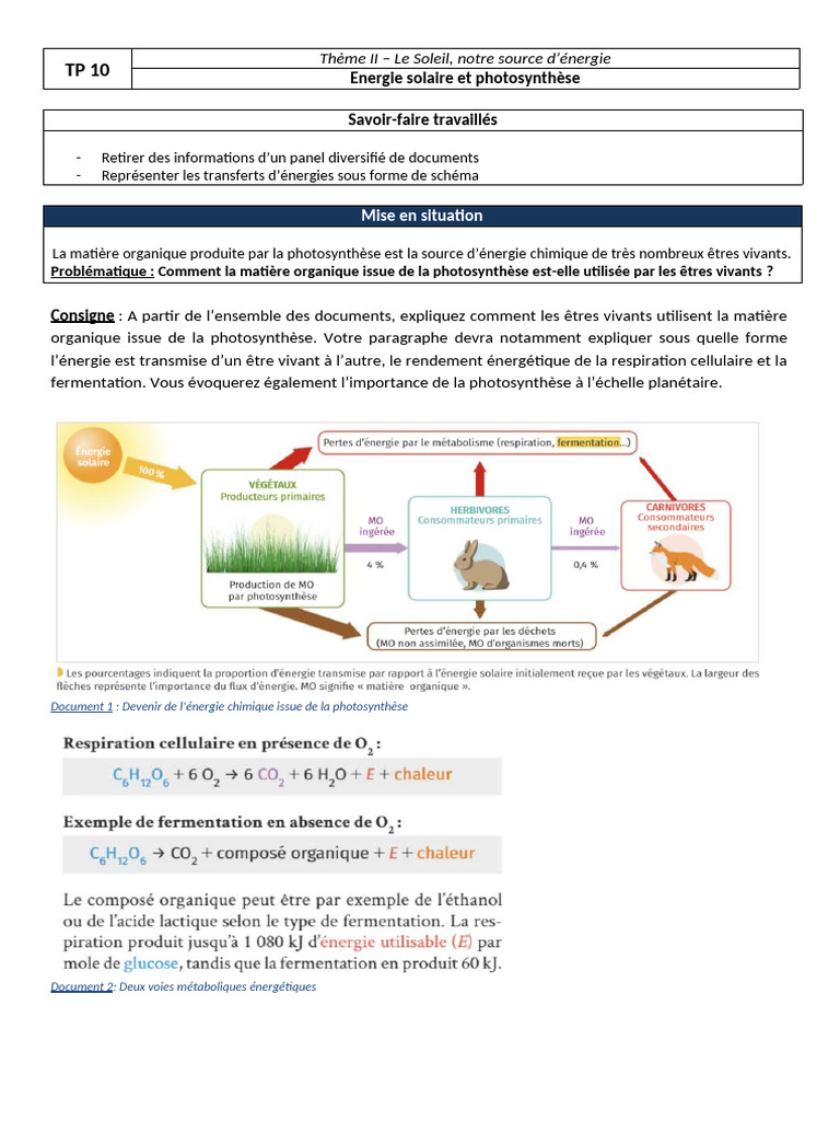 TP 9 Transfert de Matière | PDF