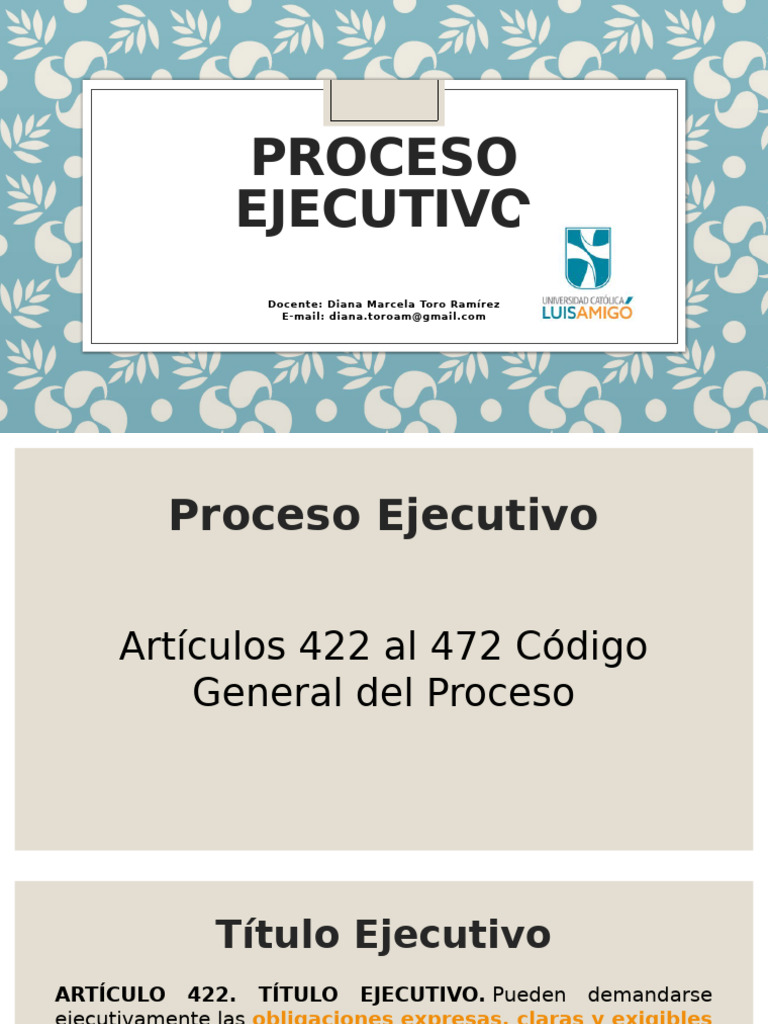 PROCESO EJECUTIVO 1 | PDF