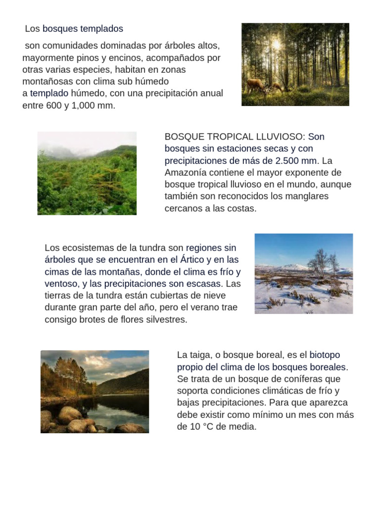 Ecosistemas Todos | PDF
