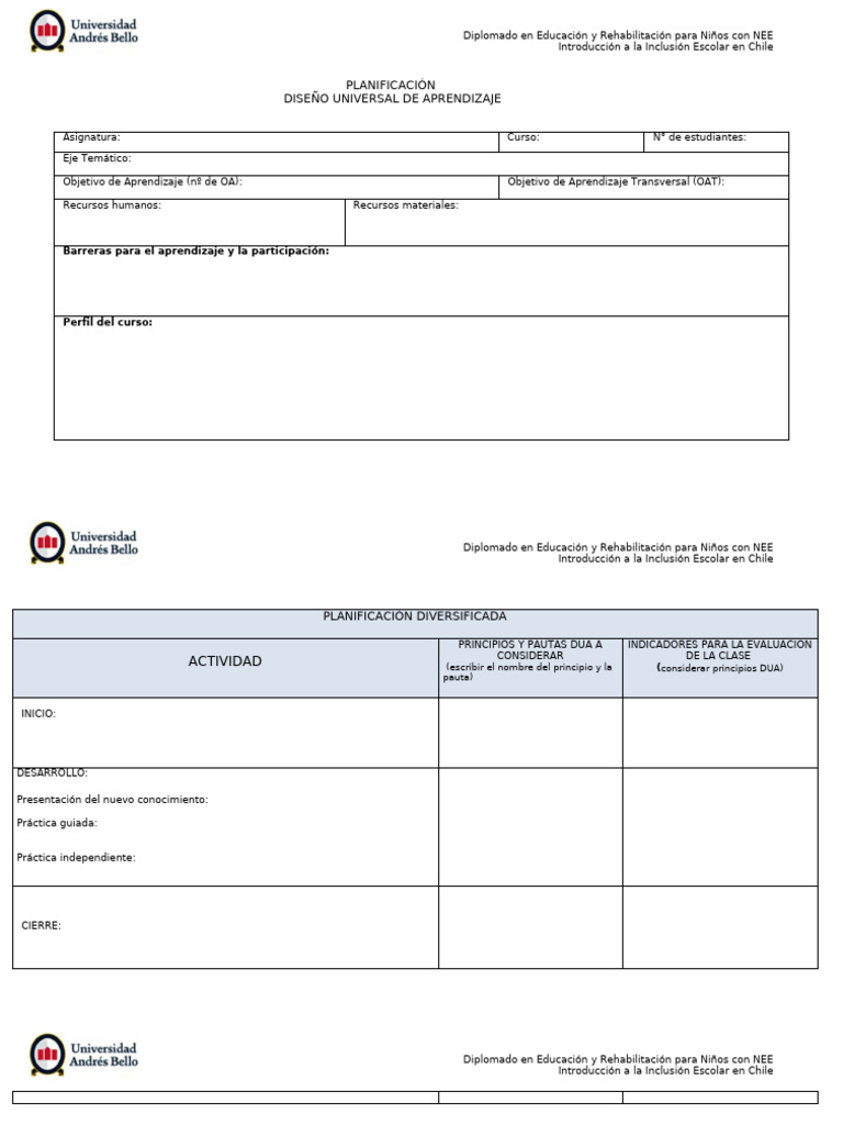 Formato Planificación Dua | PDF