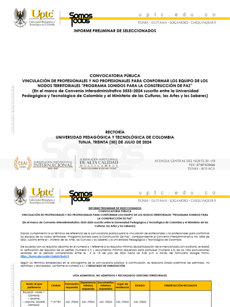 Informe Preliminar Seleccionados | PDF