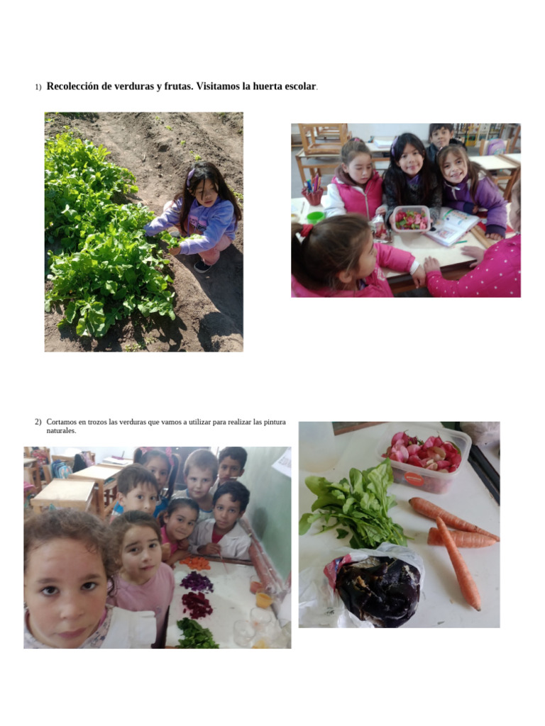 Fotos Derias de C. 2024 | PDF