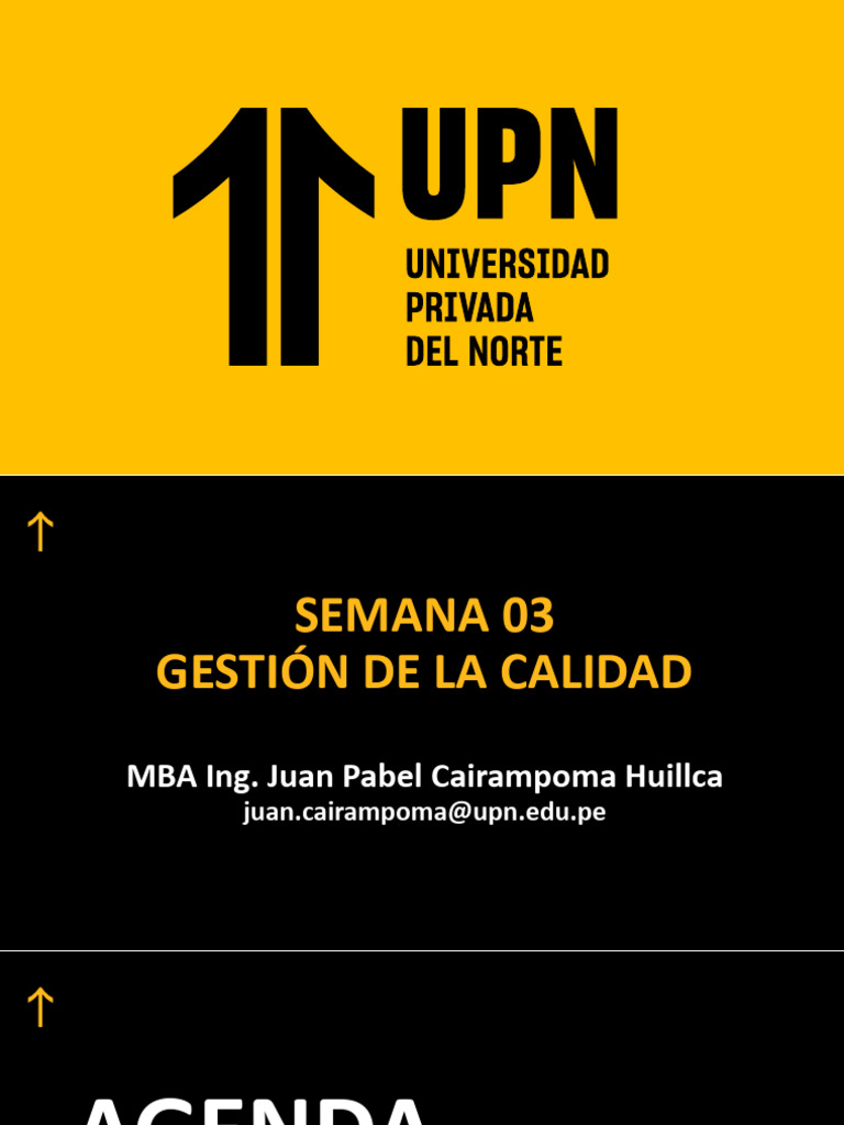 SEM3 GC Muestreo de Aceptación (JPCH) | PDF