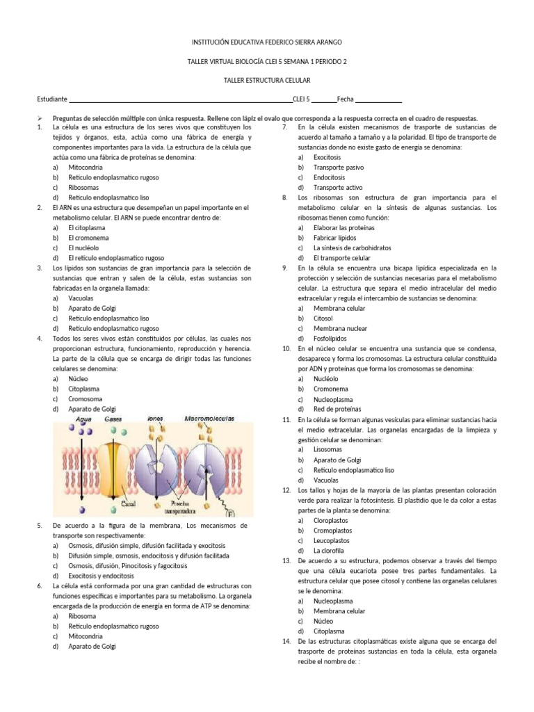 TALLER Biologia 6 Icfes | PDF