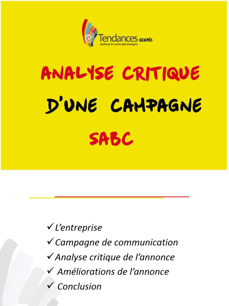 Analyse Critique D'une Campagne SABC | PDF