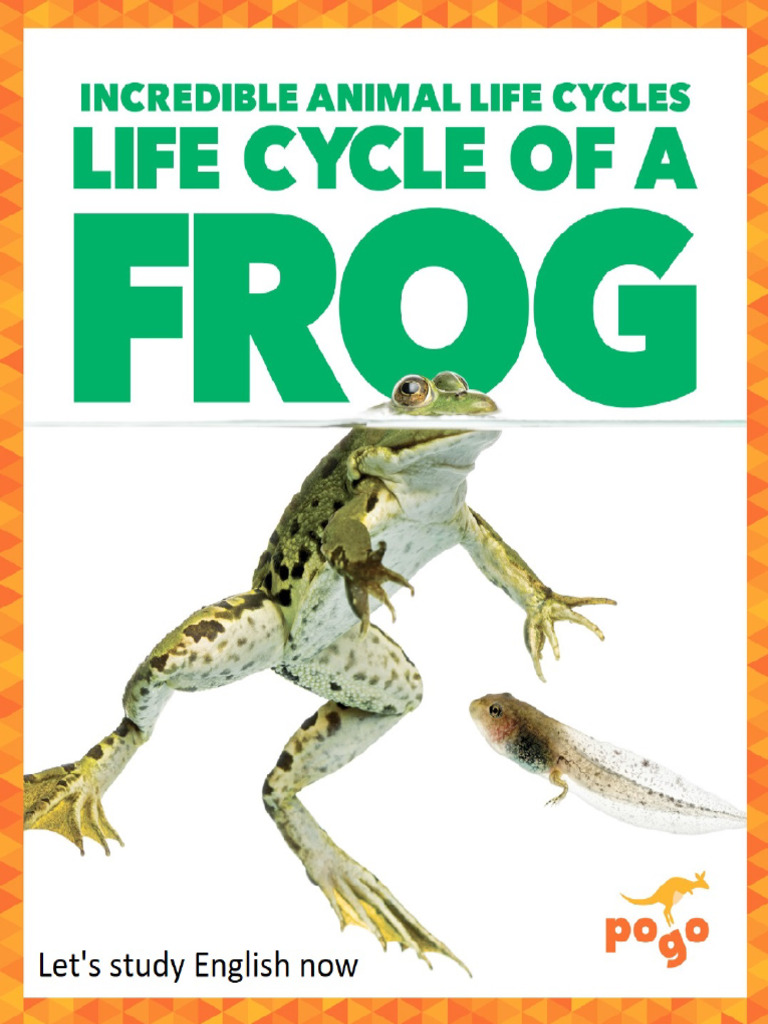 Life Cycle of A Frog PDF | PDF