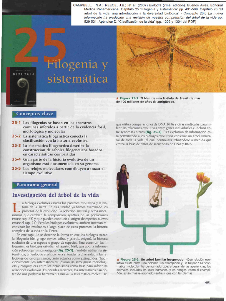 Campbell y Reece 2007. Cap 25. Filogenia y Sistemática. | PDF