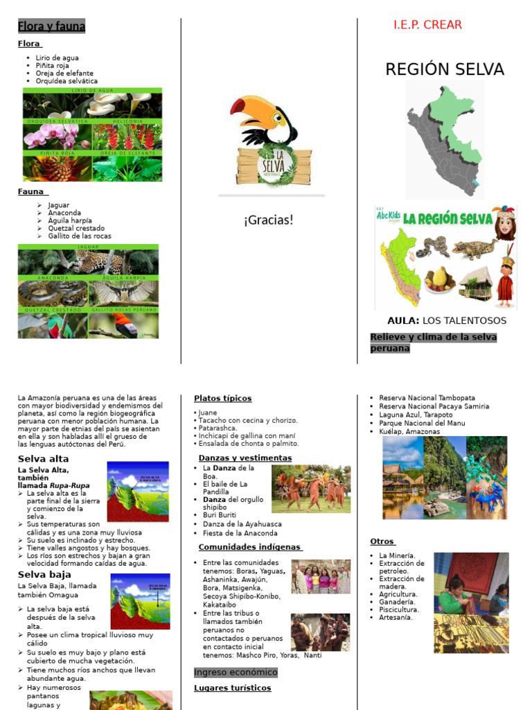 Triptico Selva | PDF