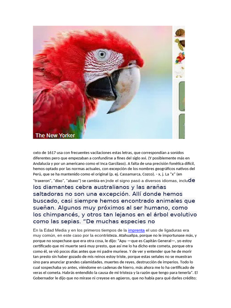 Androsky | PDF