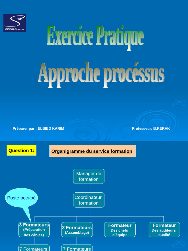 Approche Processus -Kk | PDF