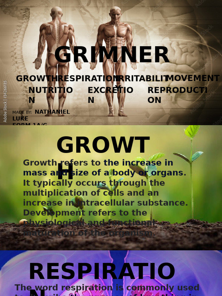 Presentation On GRIMNER (Integrated Science) | PDF