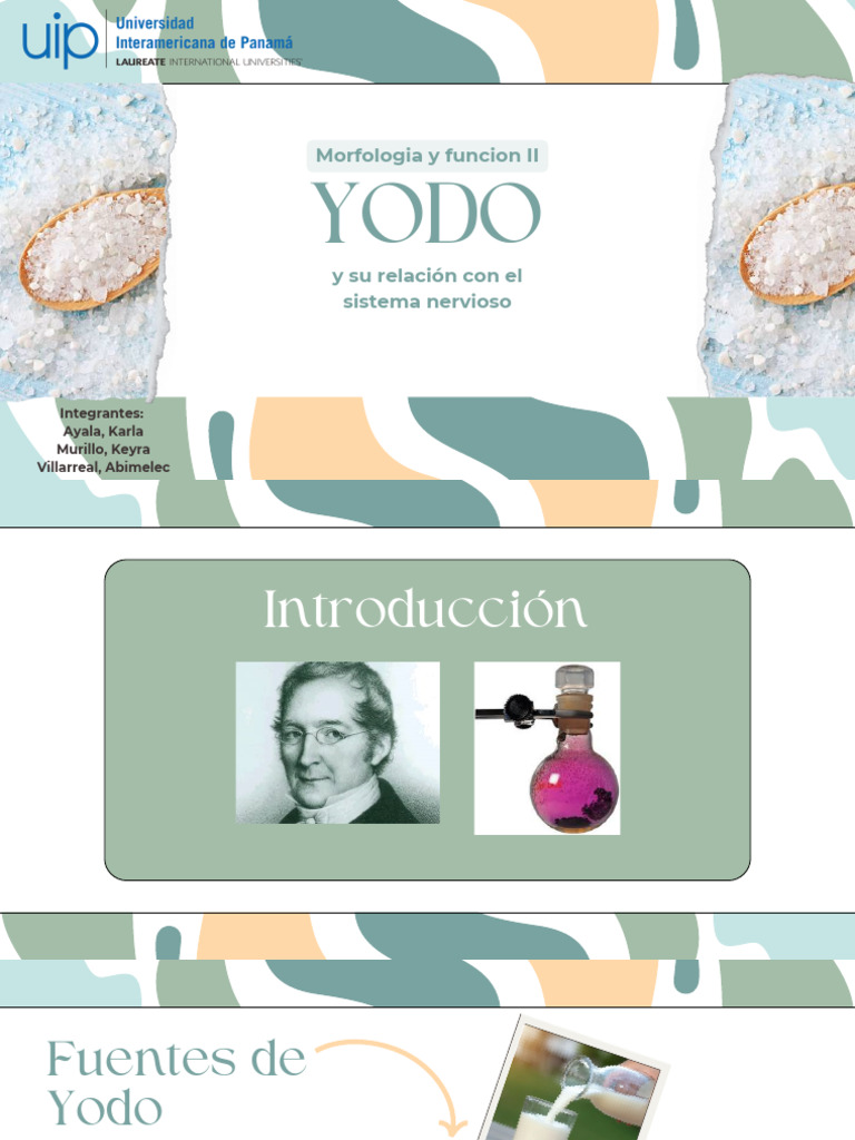 YODO | PDF