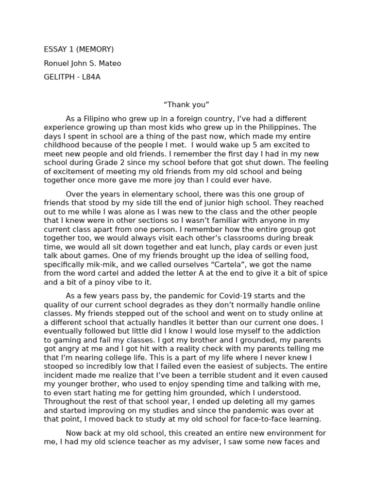 Essay 1 (Memory) | PDF