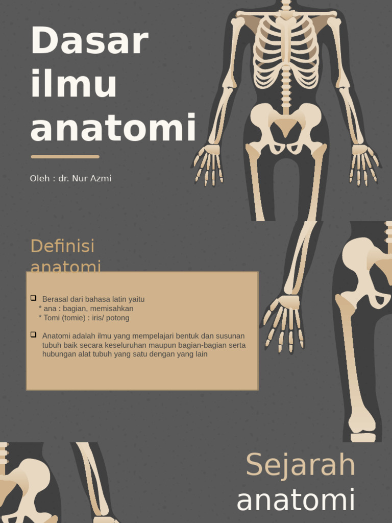 Dasar Anatomi Pdf
