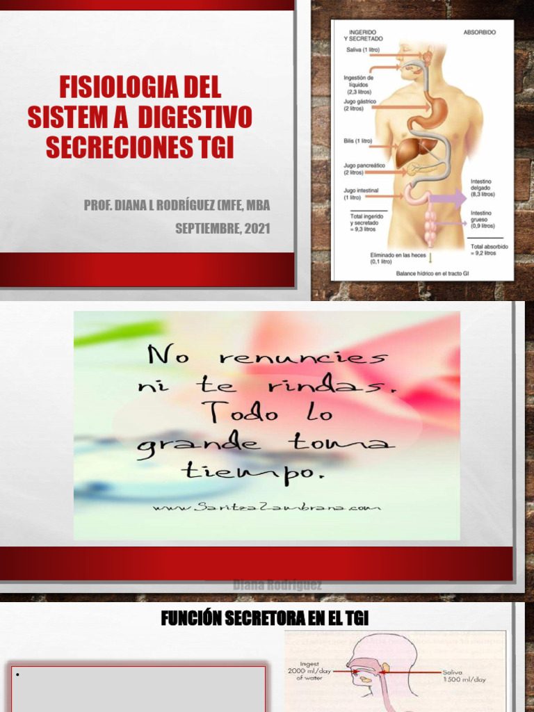 FISIOLOGÍA DEL SISTEMA DIGESTIVO SECRECIONES. Cap 4-5-comprimido | PDF