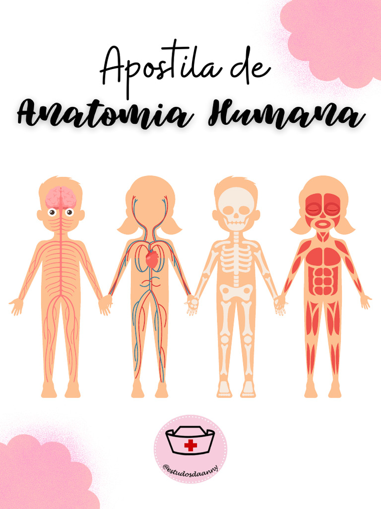 Apostila de Anatomia 1 | PDF