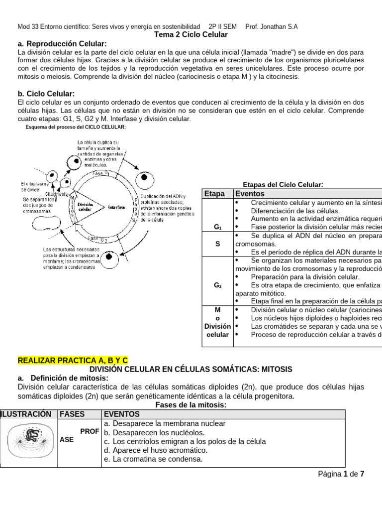 2-Mod 33 Ciclo celular | PDF