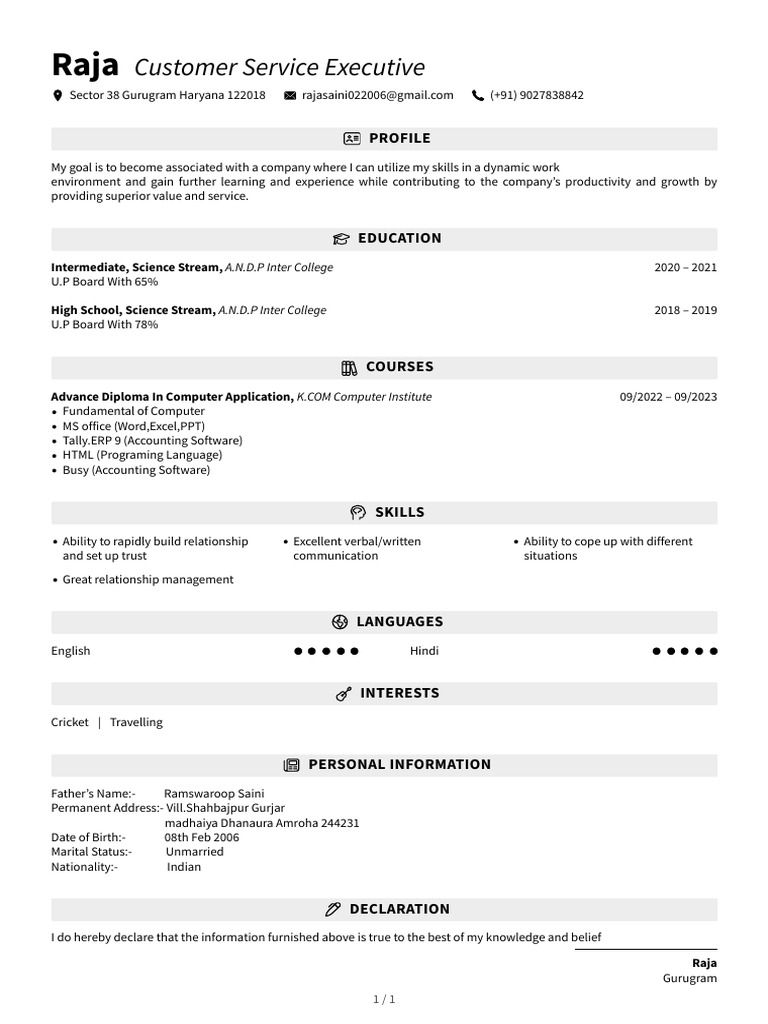 Cv_Raja_Customer_service_executive | PDF