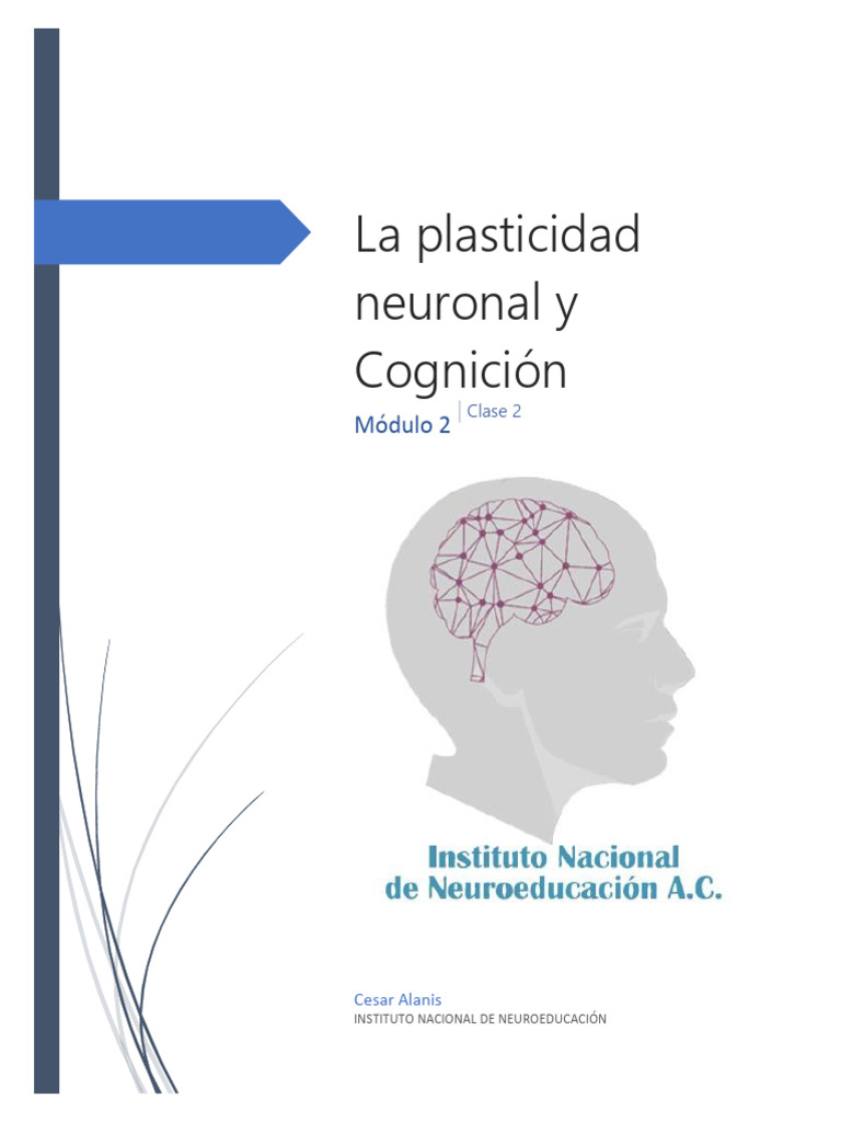 Módulo 2 Clase 2 | PDF