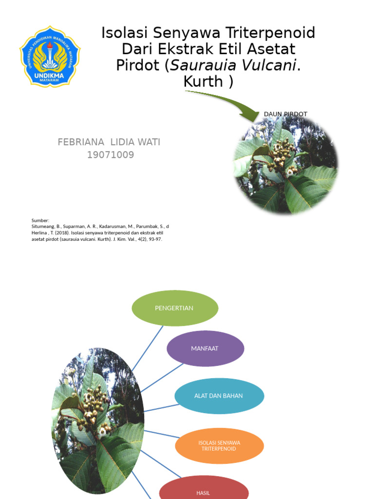 Kimia BHN Alam (Feby) | PDF