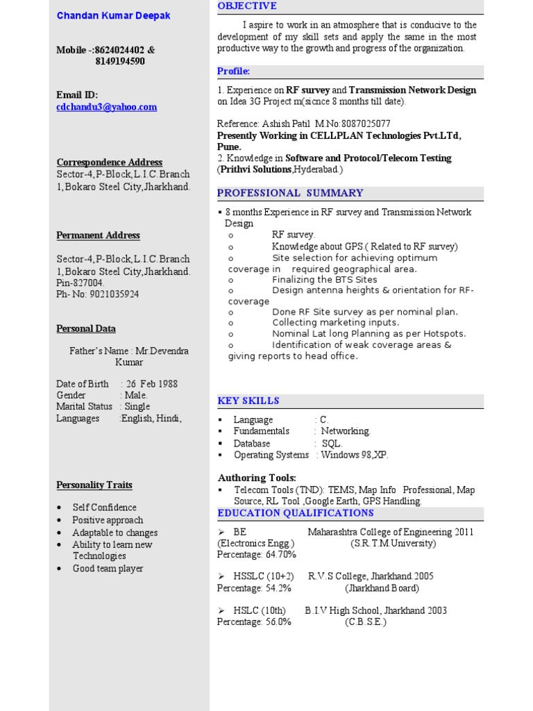 Chandan Resume | Download Free PDF | Surveying | Computing