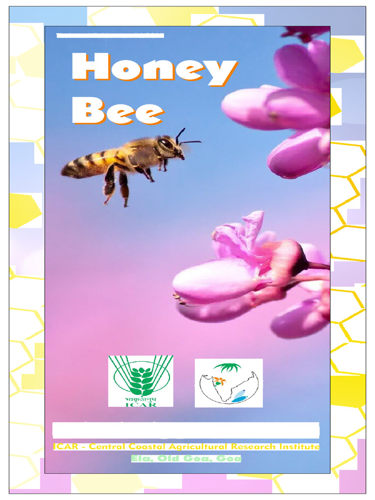 Honey Bee | PDF