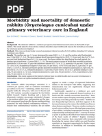 Template on daily huddle | PDF | Patient Safety | Health Care