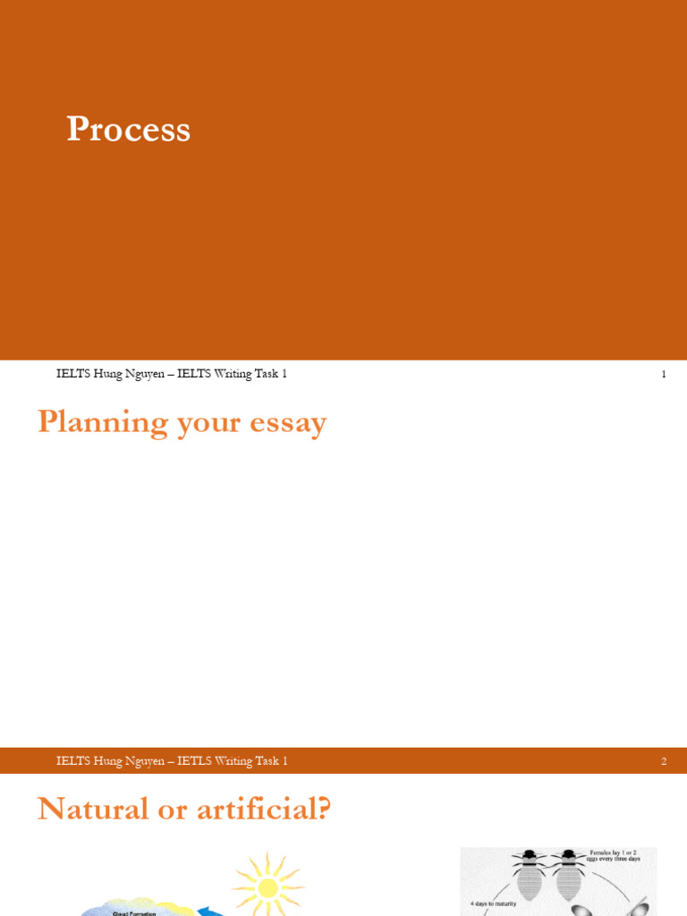 5 - Writing Task 1 - Language For Process | PDF