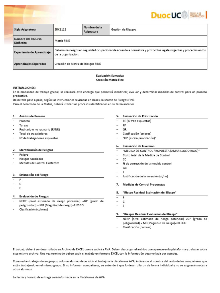 Semana 12 (1) Instrucciones Evaluación Sumativa - Matriz FINE | PDF