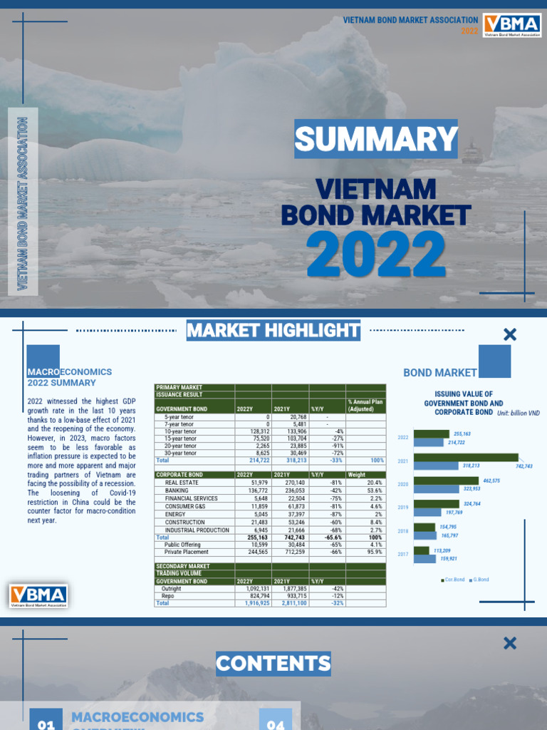 Vbma - Bond Market Summary 2022 | PDF