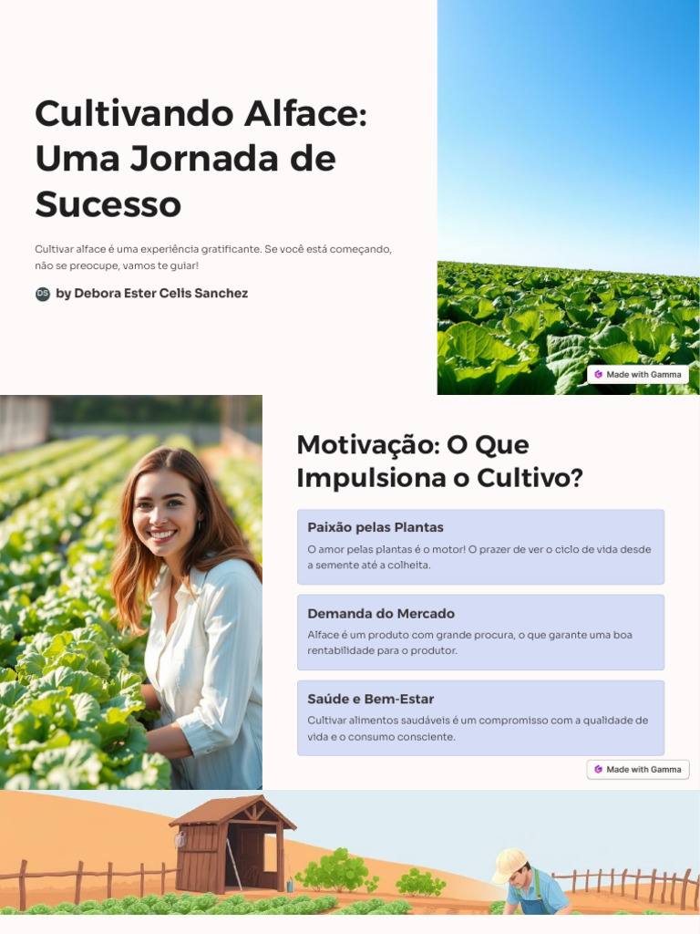 Cultivando Alface Uma Jornada de Sucesso | PDF