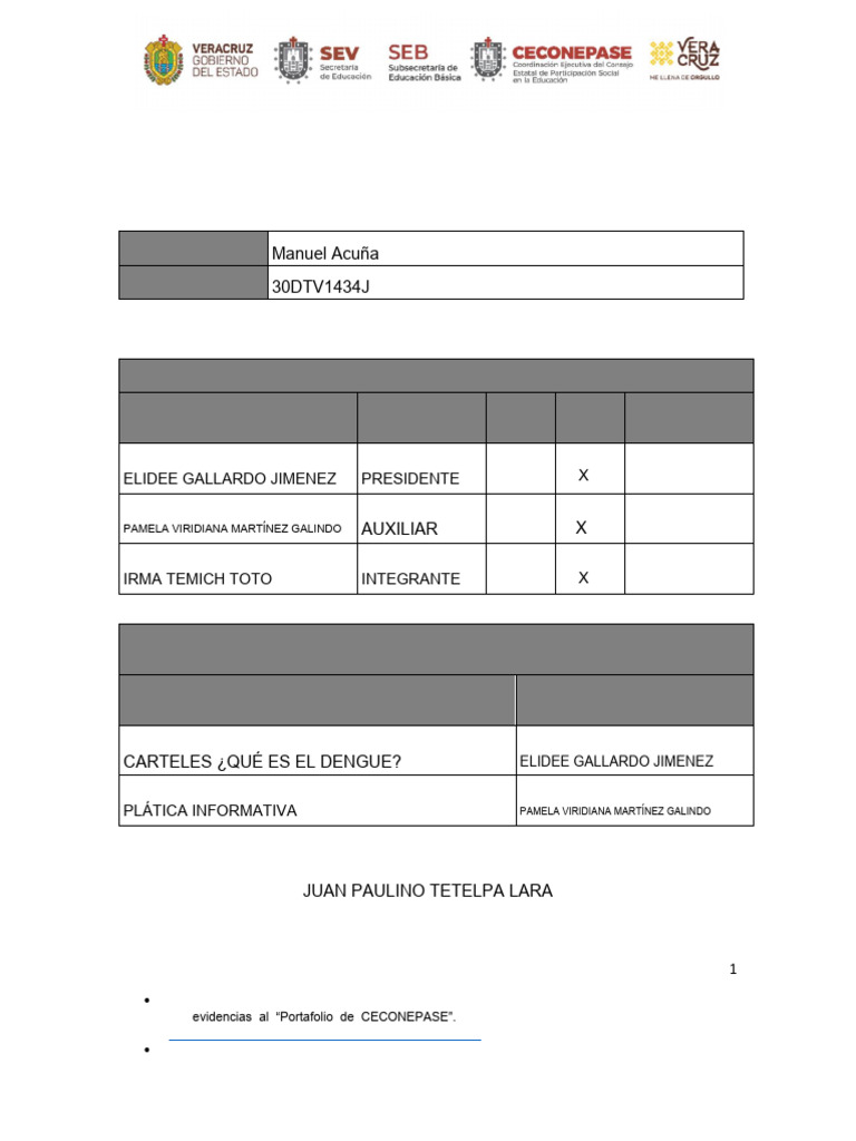 Formato para La Campaña Contra El Dengue LLENO | PDF