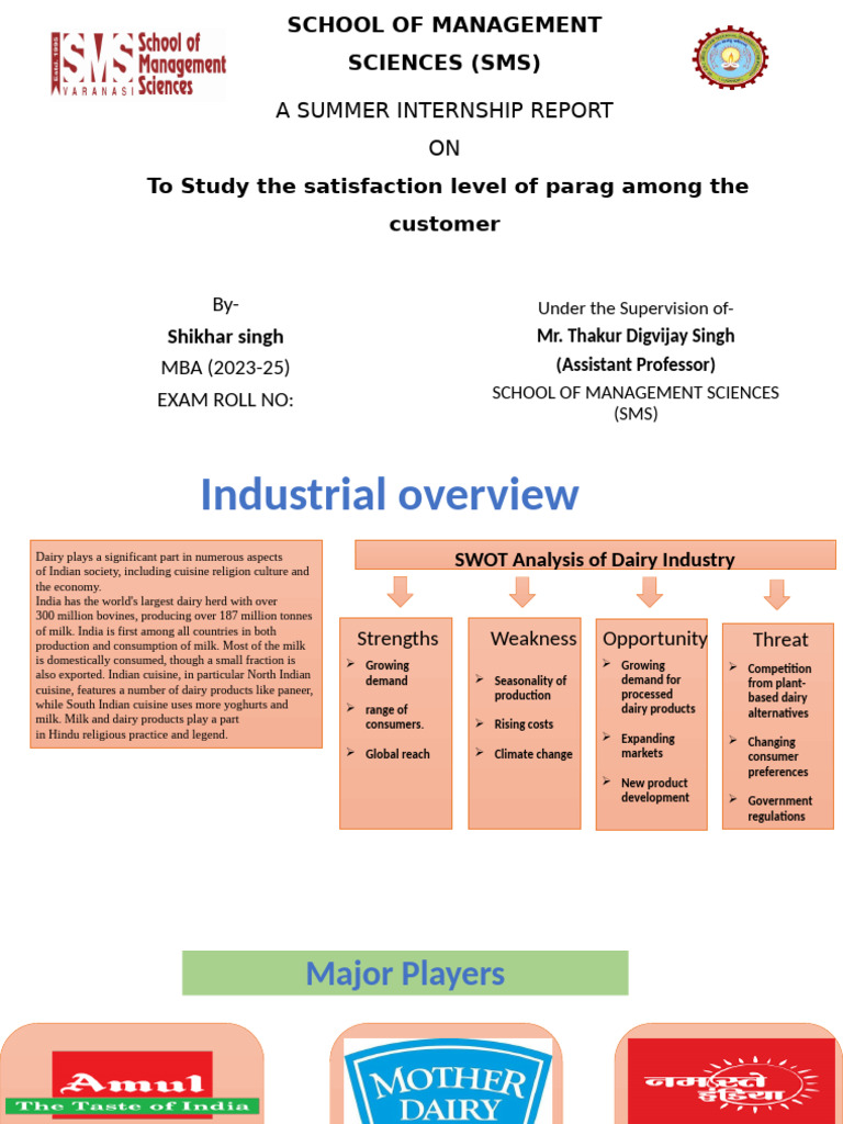 Format Summer Training Report Presentation | PDF