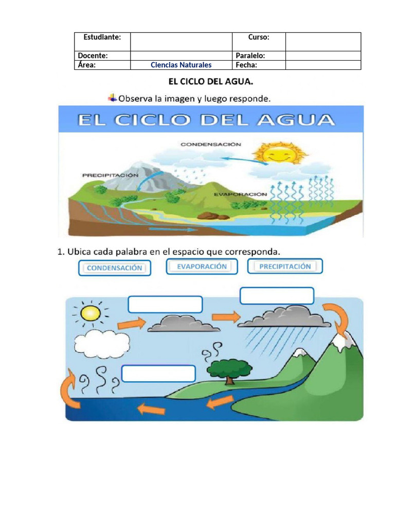 ACTIVIDADES - CIENCIAS NATURALES - EL CICLO DEL AGUA | PDF