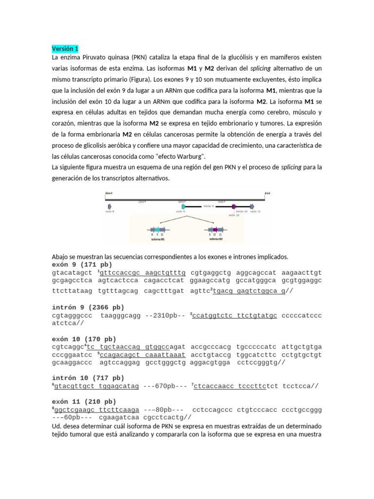 Exámen regularizador-PCR Versión 1 | PDF