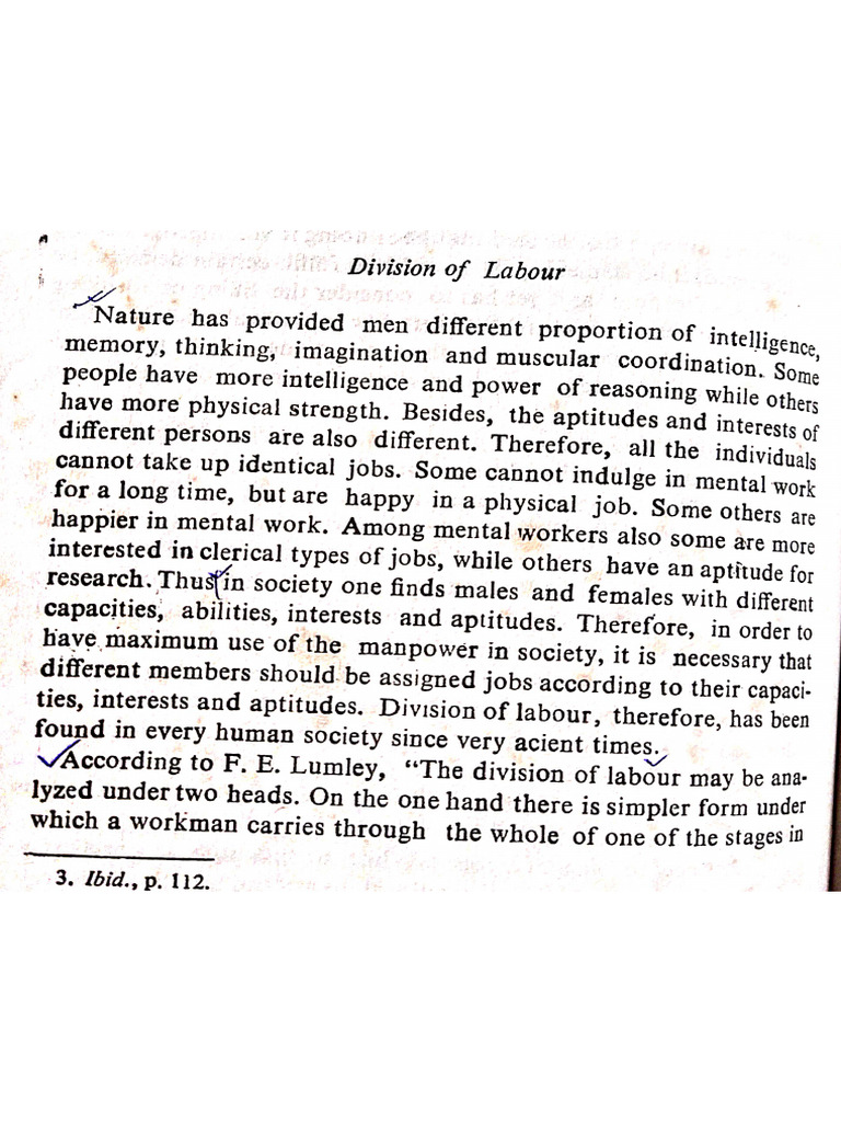 Merits and Demerits of DOL | PDF