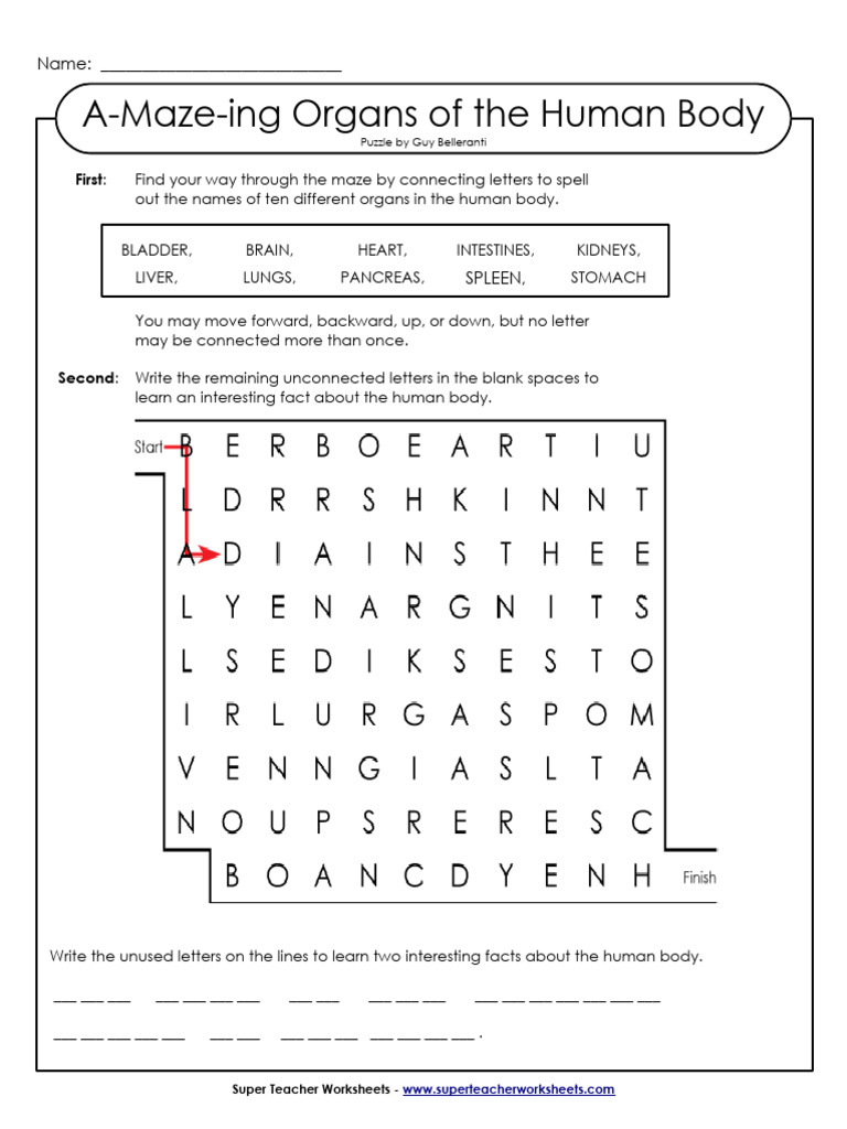 a-maze-ing-organs_HBODY | PDF a-maze-ing-organs_HBODY | PDF