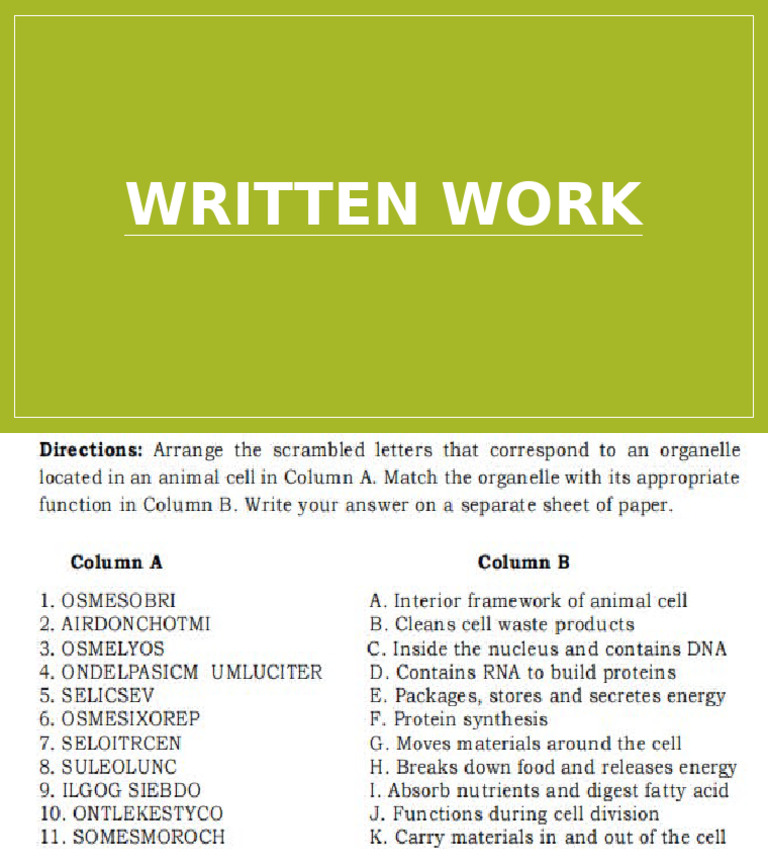 Written Work Cells | PDF