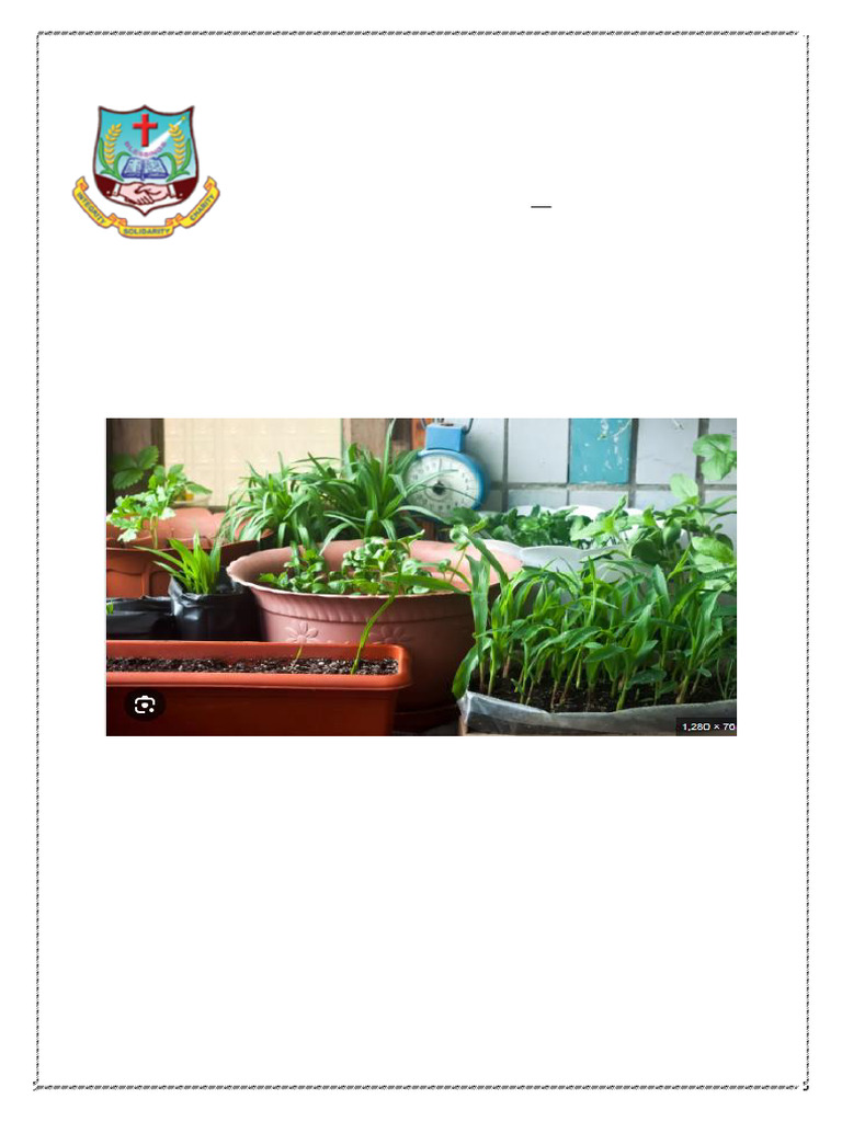 SUPW Project 2 | PDF