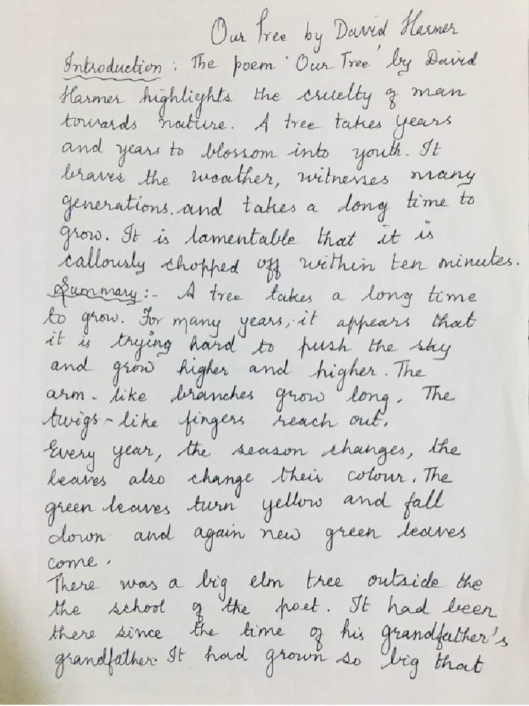 Our Tree by David Harmer | PDF