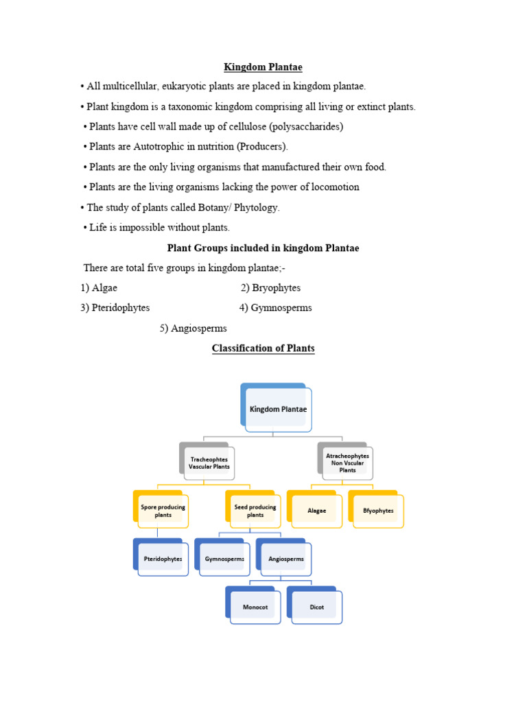 Kingdom Plantae | PDF