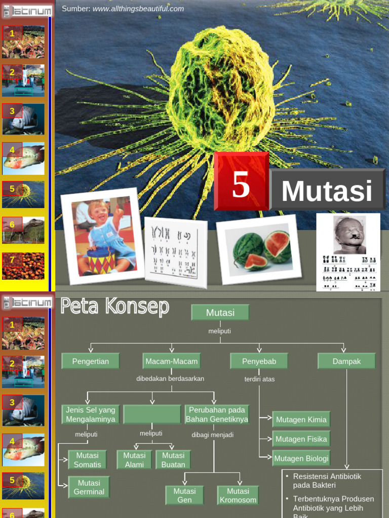 Buku Xii Bab 5 Mutasi | PDF