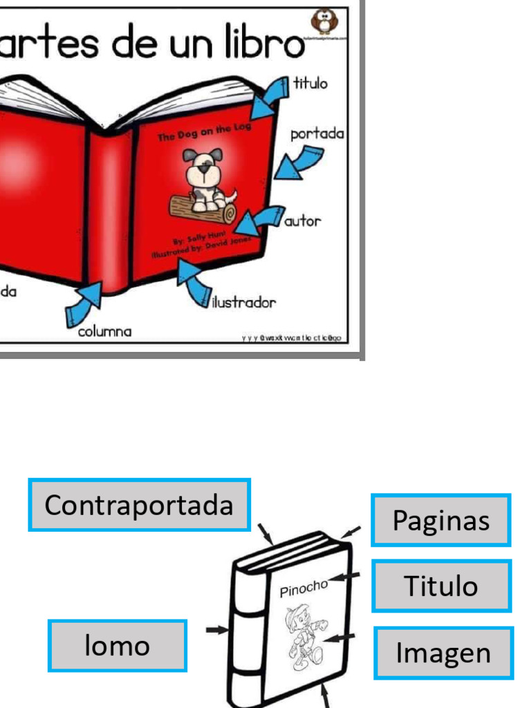 Partes Del Libro | PDF