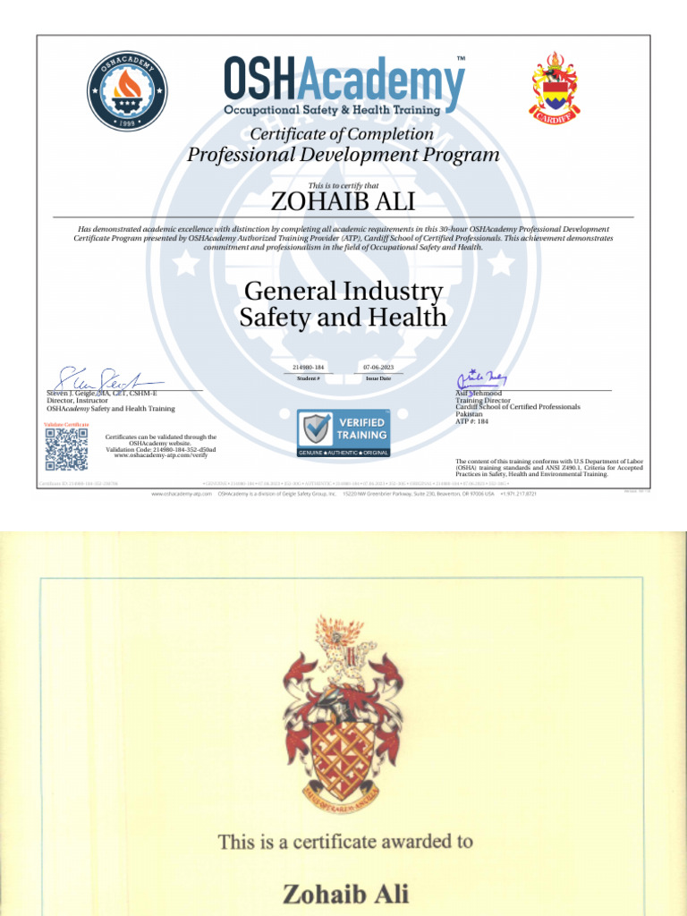 MR Zohaib Ali-1 | PDF