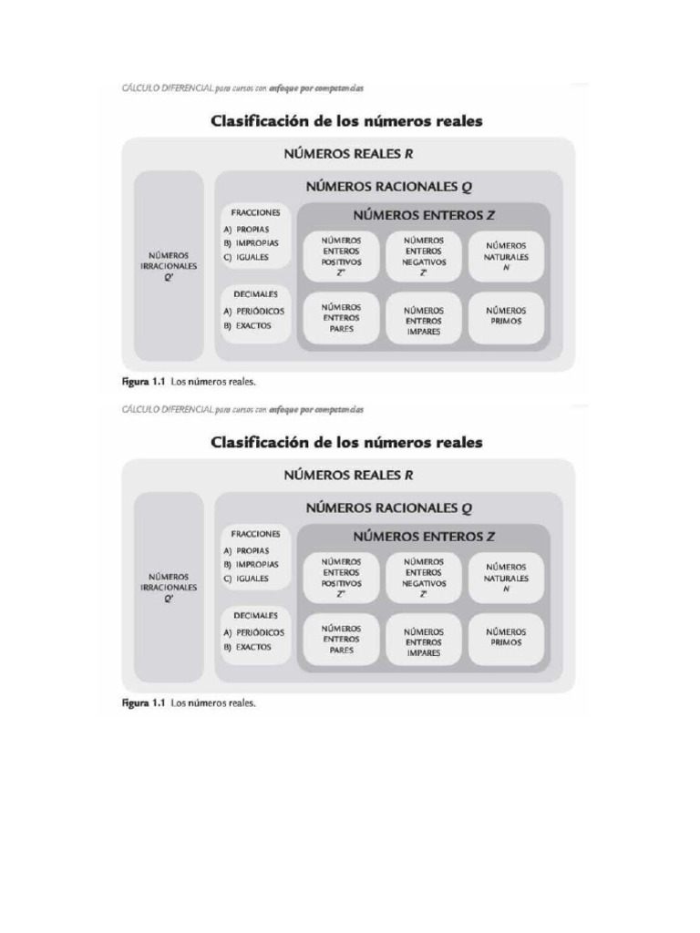 Clasificacion de Numeros Reales Material 1 | PDF