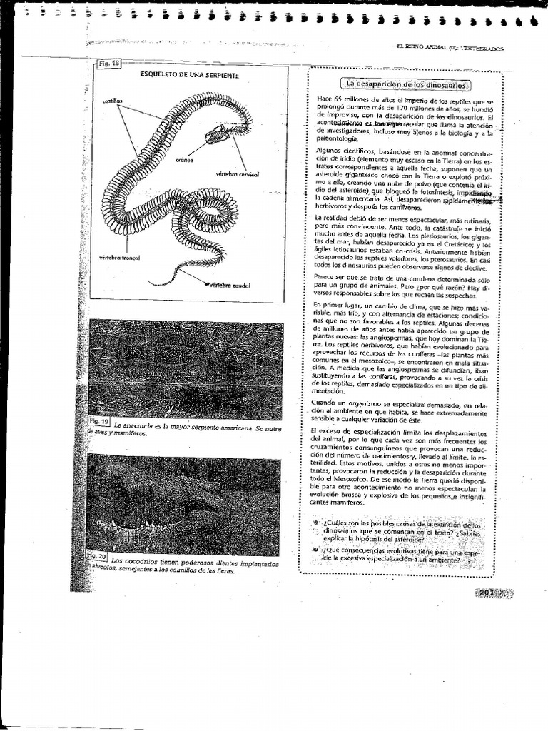 Cuadernillo Bio Parte 4 | PDF