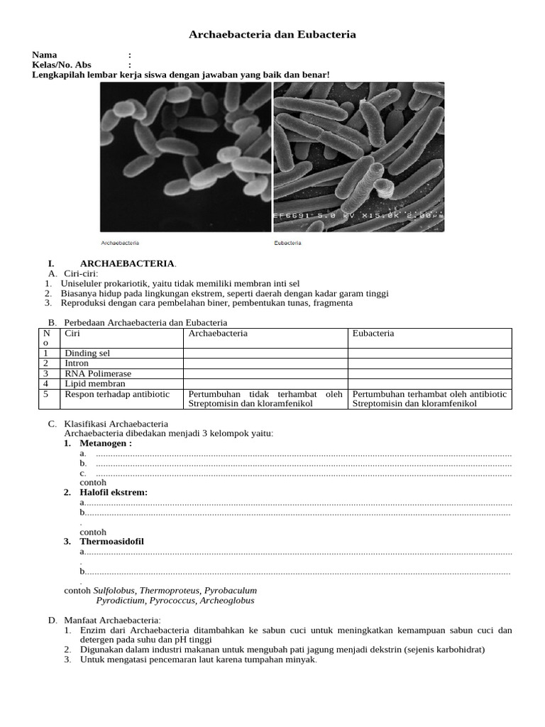 Bab 4. Archaebacteria Dan Eubacteria Edited | PDF