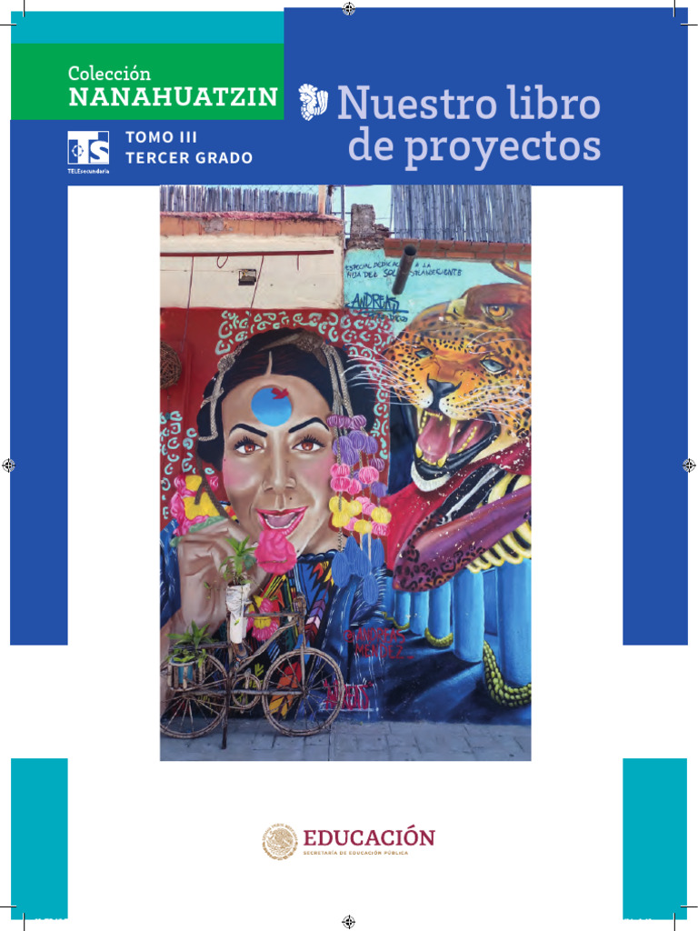 Proyectos 3 | PDF